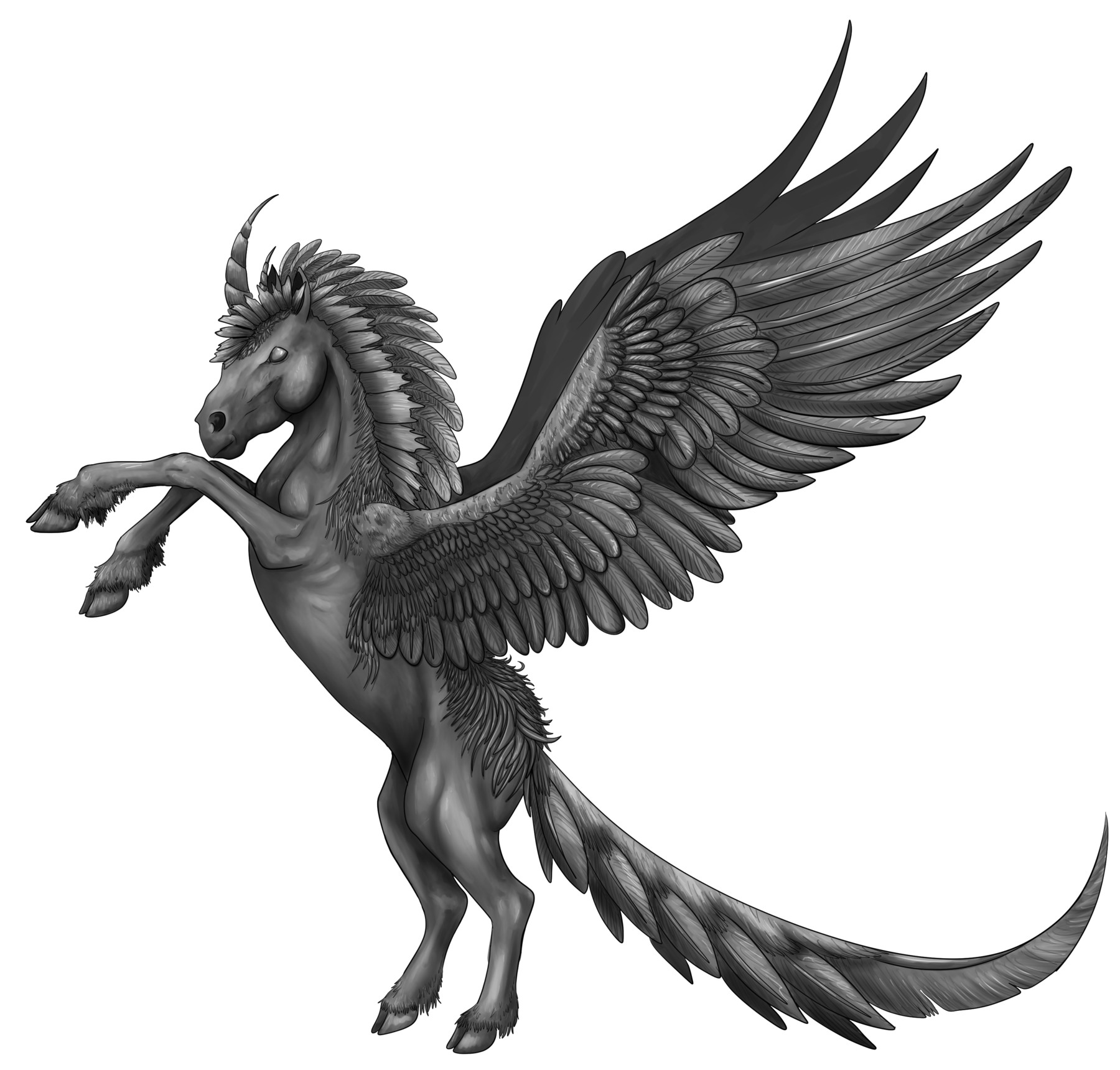 ArtStation - Alicorn psd for colouring | Artworks