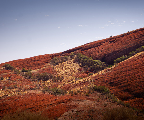 ArtStation - Red Centre Australia Reference Pack | Resources