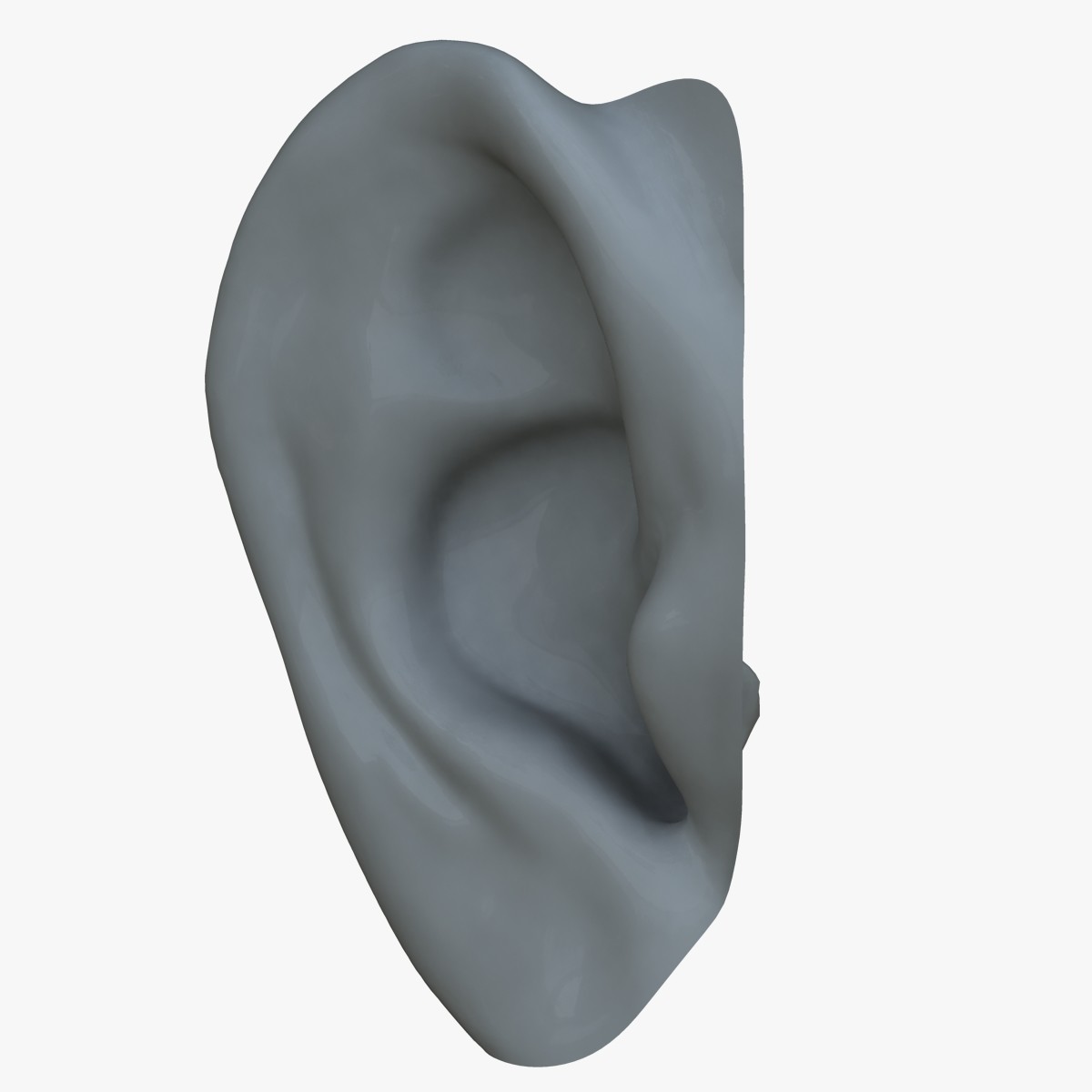 ArtStation - Maya Ear | Resources
