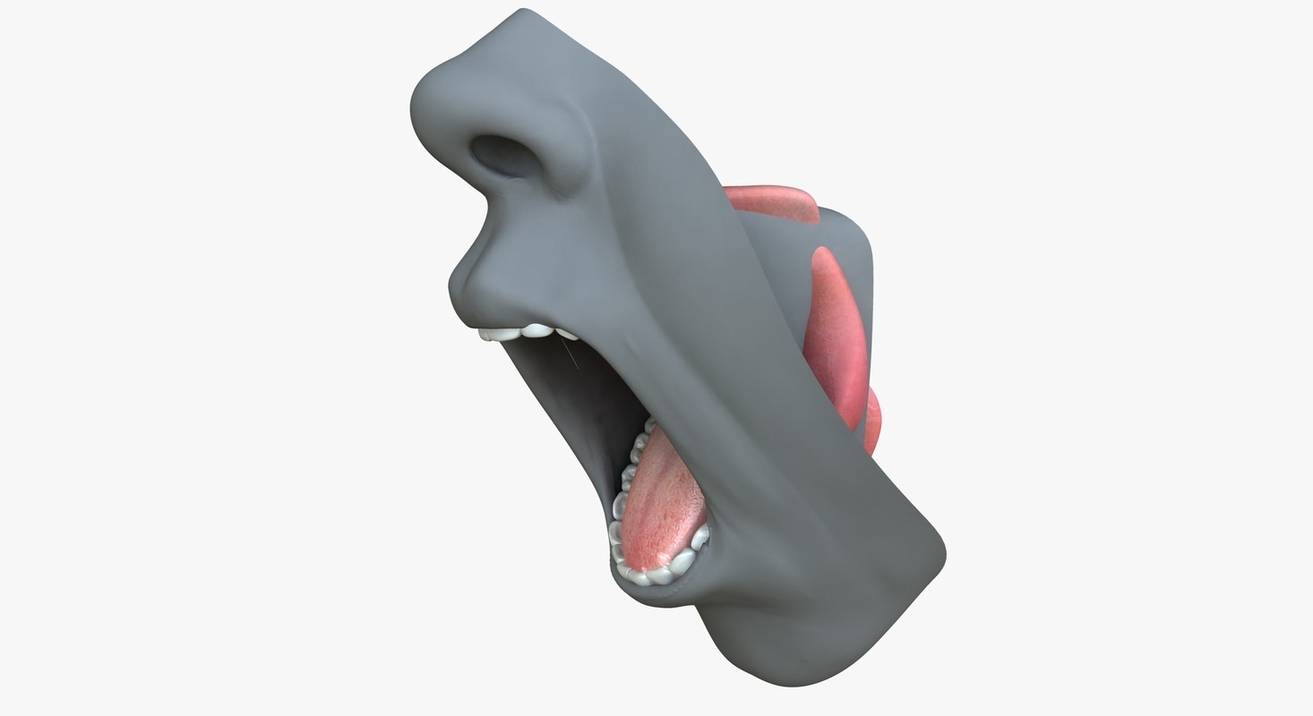 ArtStation - Male Mouth Rig | Resources