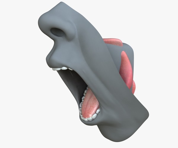 ArtStation - Male Mouth Rig | Resources