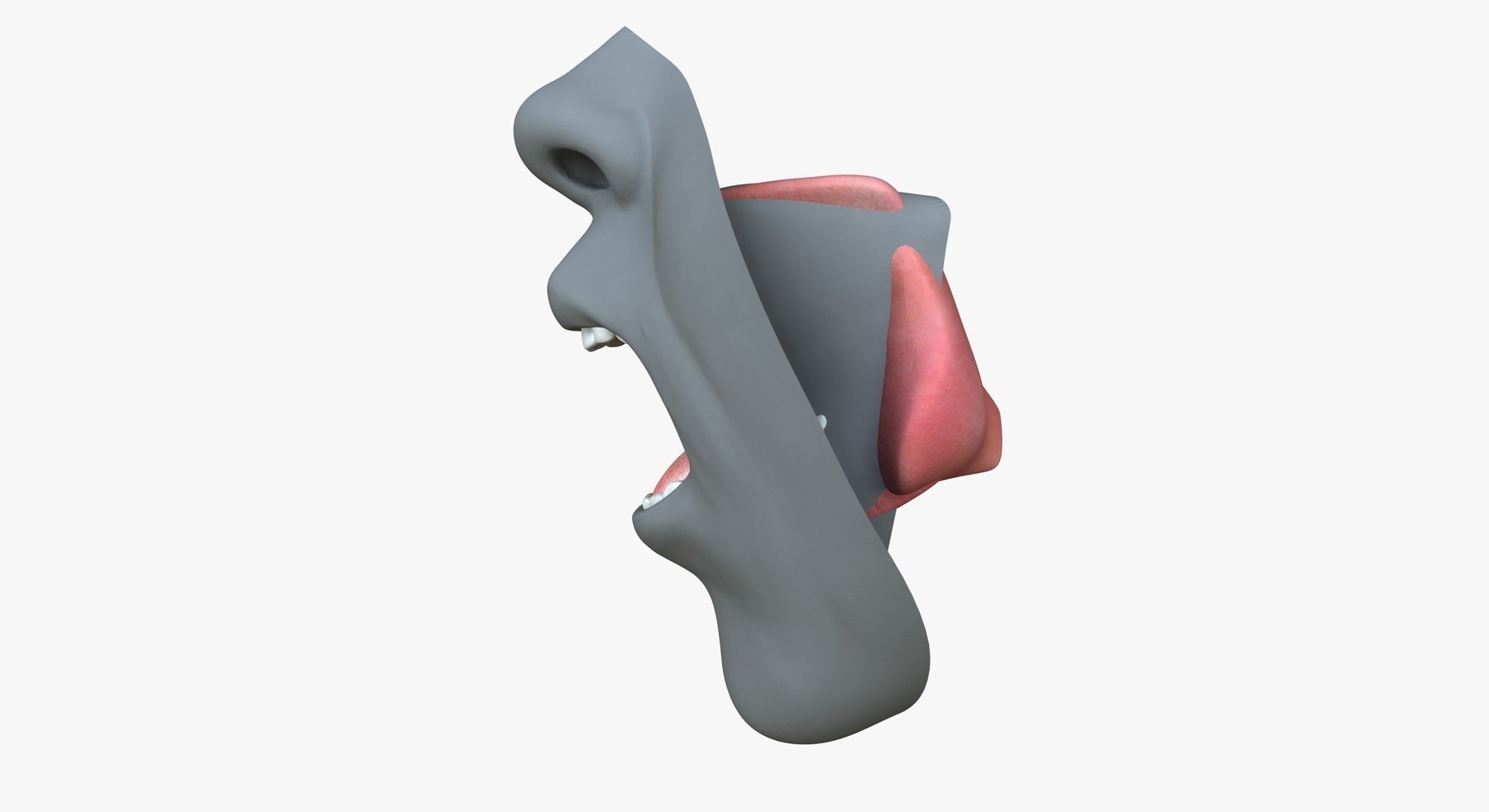 ArtStation - Male Mouth Rig | Resources
