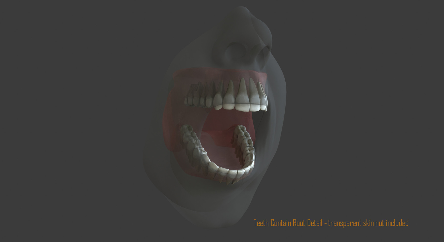 ArtStation - Male Mouth Rig | Resources