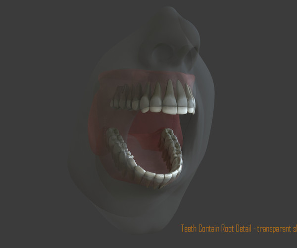 ArtStation - Male Mouth Rig | Resources