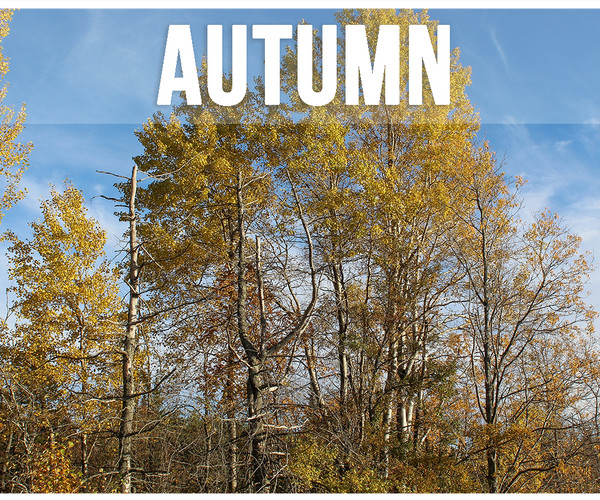 ArtStation - Autumn Photopack | Resources