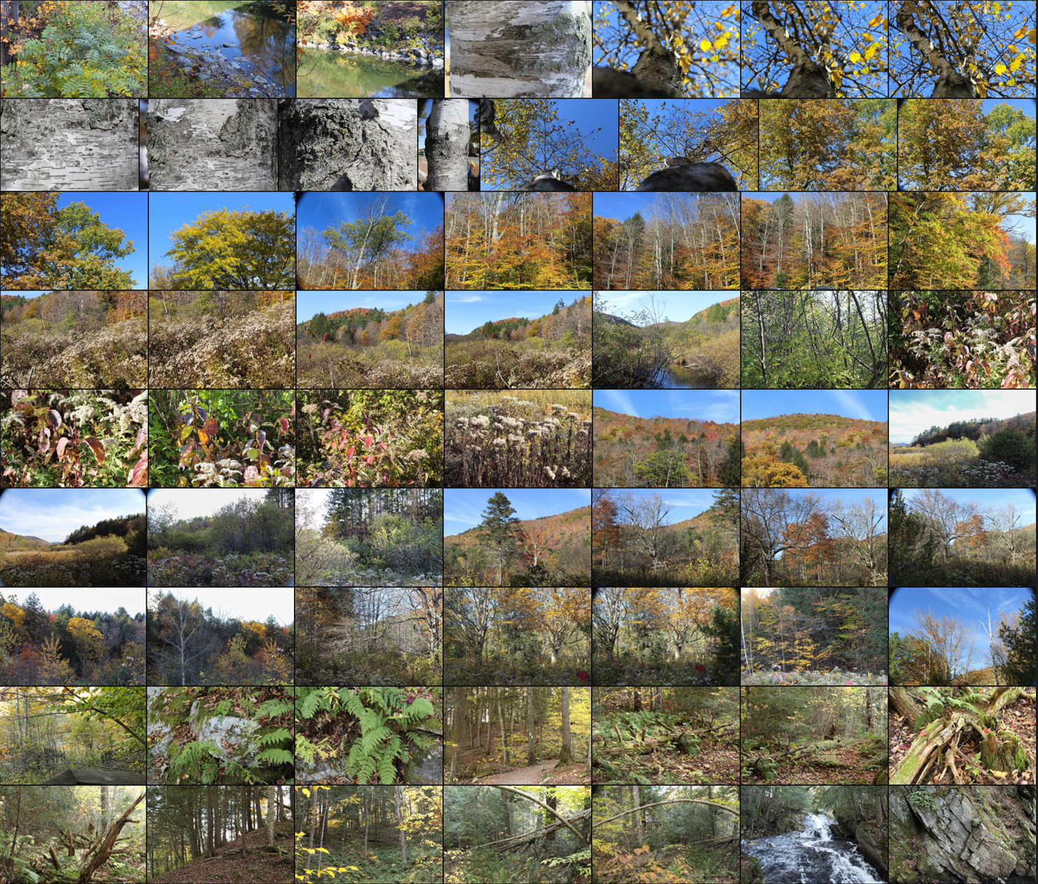 ArtStation - Autumn Photopack | Resources