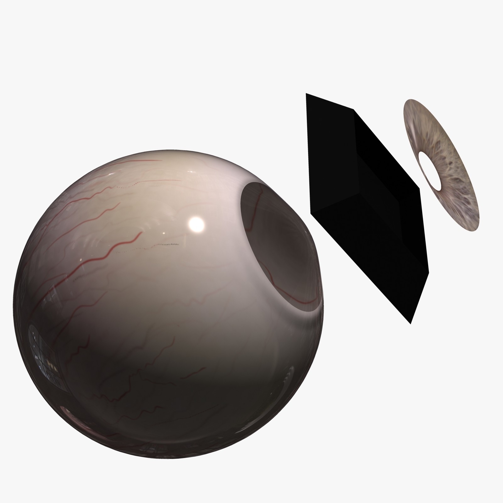 David Bittorf School - Maya Rigged Eyes