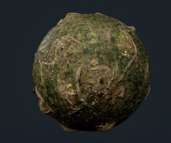 ArtStation - Forest Ground Tree Roots Seamless PBR Texture | Game Assets