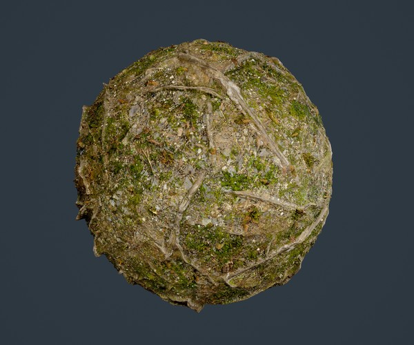 ArtStation - Forest Ground Tree Roots Seamless PBR Texture 10 | Game Assets