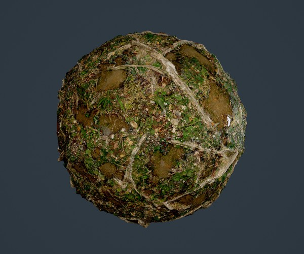 ArtStation - Forest Ground Tree Roots Seamless PBR Texture 13 | Game Assets
