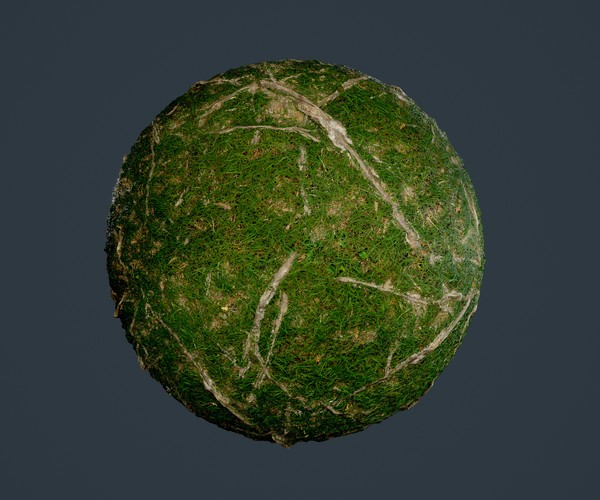 ArtStation - Forest Ground Tree Roots Seamless PBR Texture 15 | Game Assets