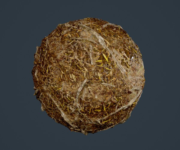 ArtStation - Forest Ground Tree Roots Seamless PBR Texture 19 | Game Assets