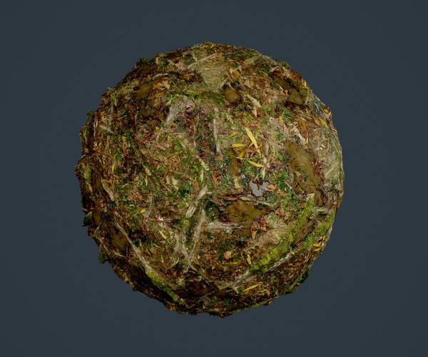 ArtStation - Forest Ground Tree Roots Seamless PBR Texture 21 | Game Assets