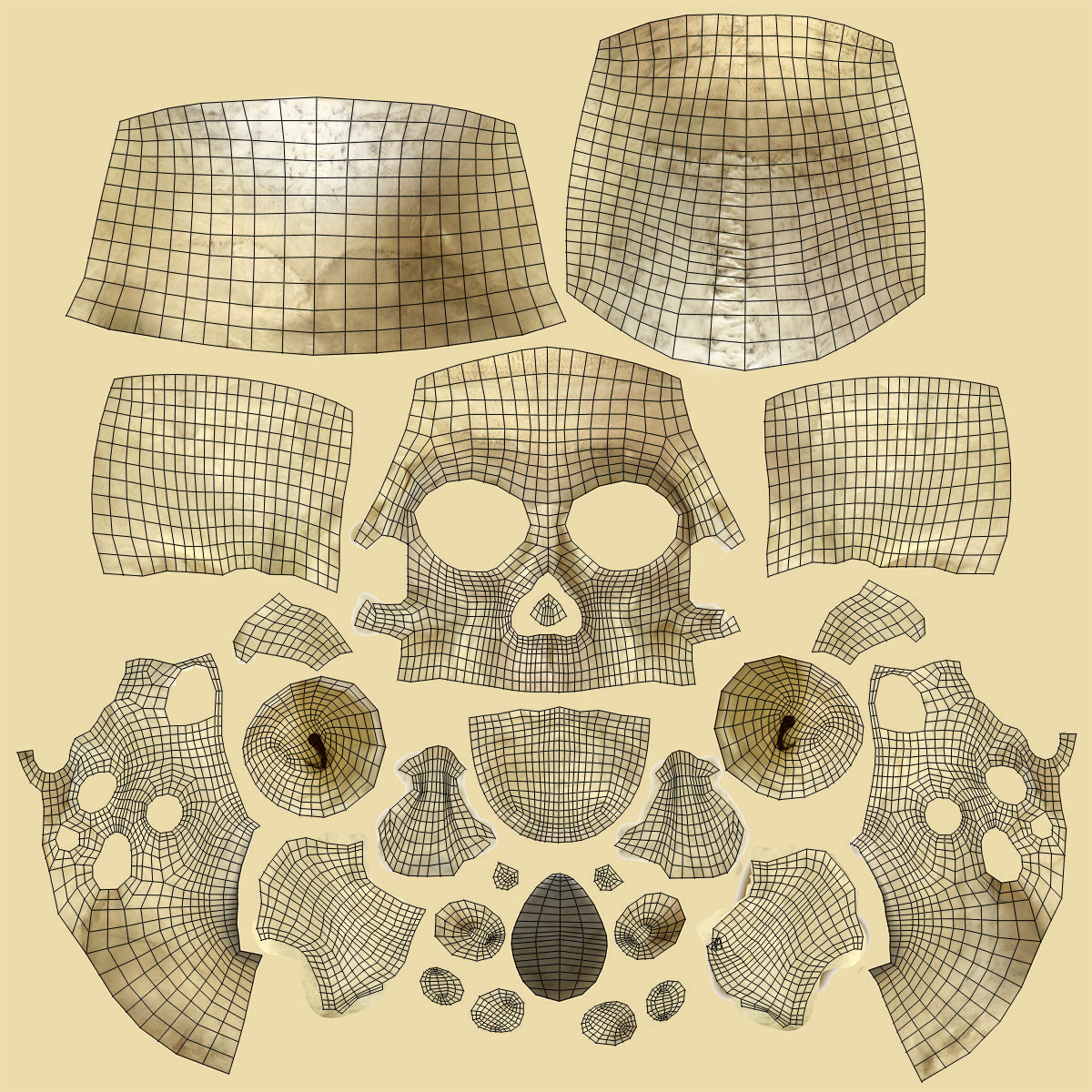 ArtStation - Maya Rigged Skeleton | Resources