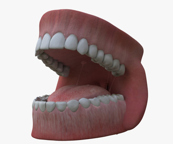 ArtStation - Maya Female Rigged Character | Game Assets