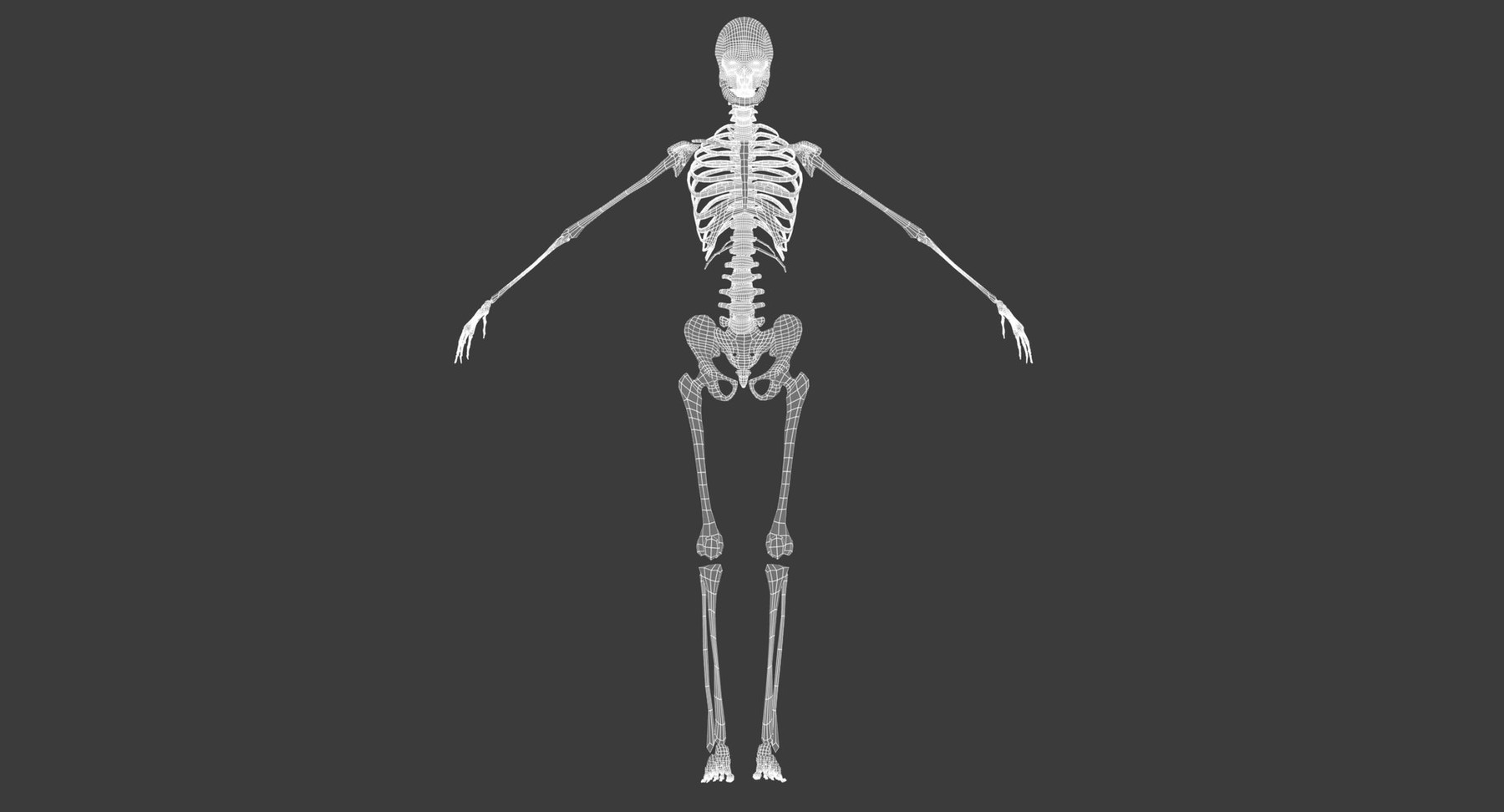 ArtStation - Motion Capture Female Anatomy | Resources