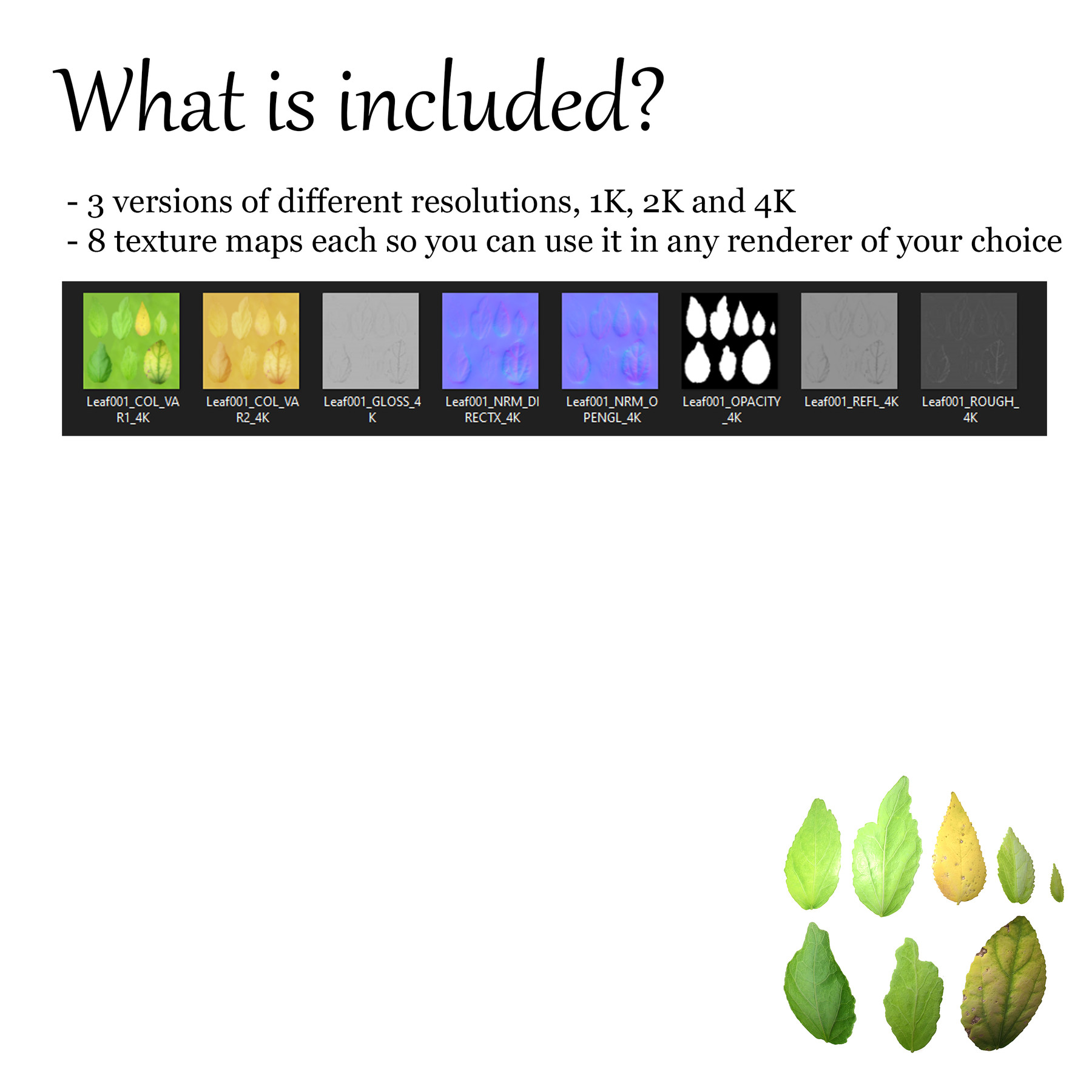 ArtStation - Aristate Leaf 001 | Resources