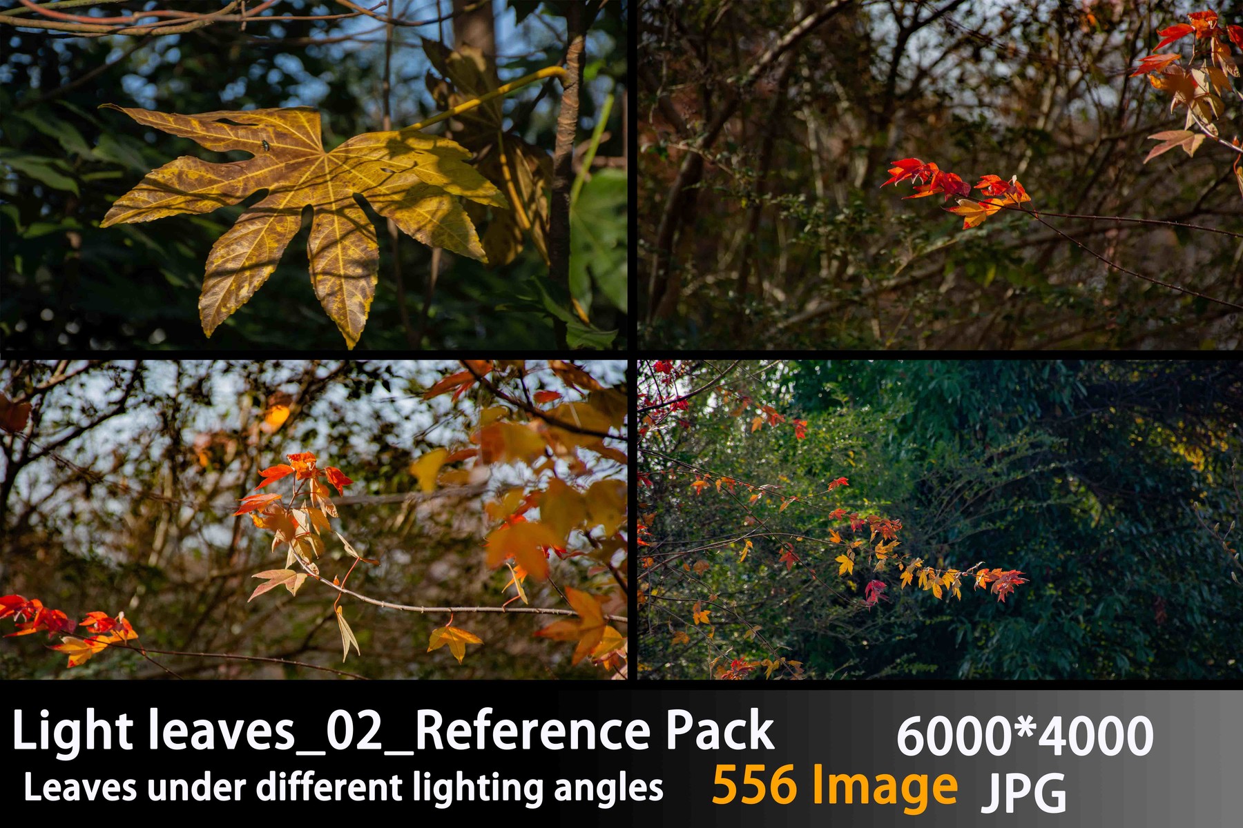 ArtStation - Light leaves_02_Reference Pack | Resources