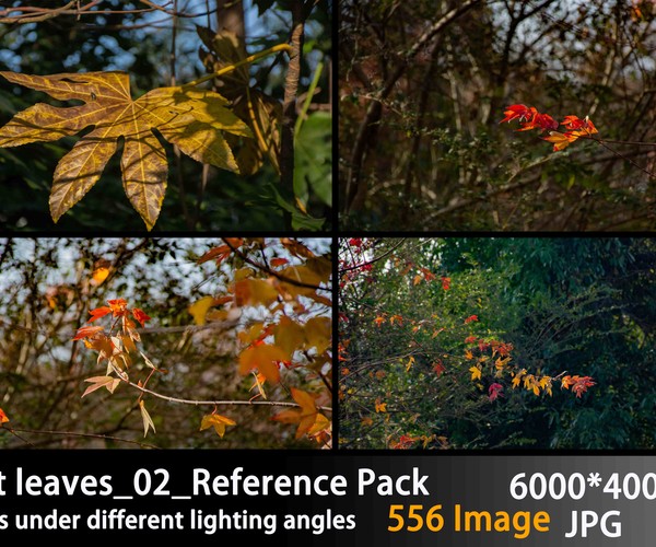 ArtStation - Light leaves_02_Reference Pack | Resources