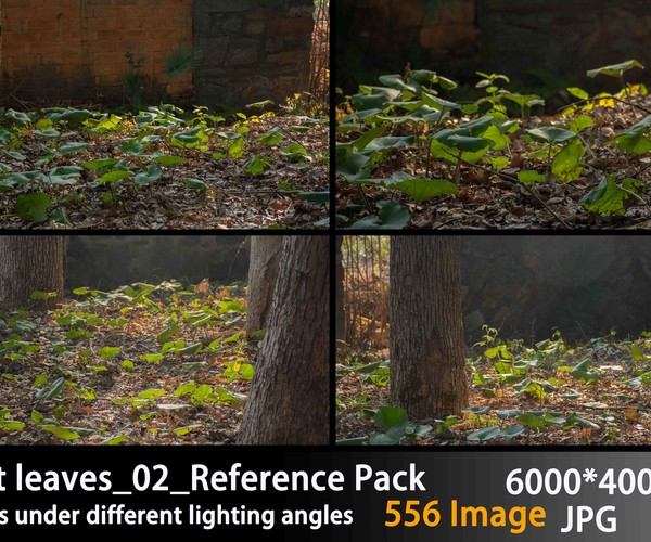 ArtStation - Light leaves_02_Reference Pack | Resources
