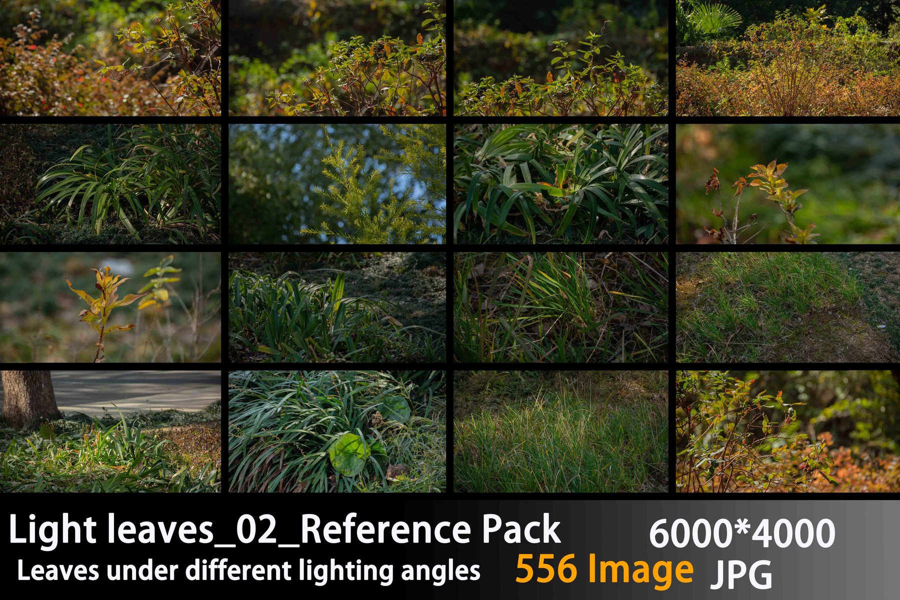 ArtStation - Light leaves_02_Reference Pack | Resources