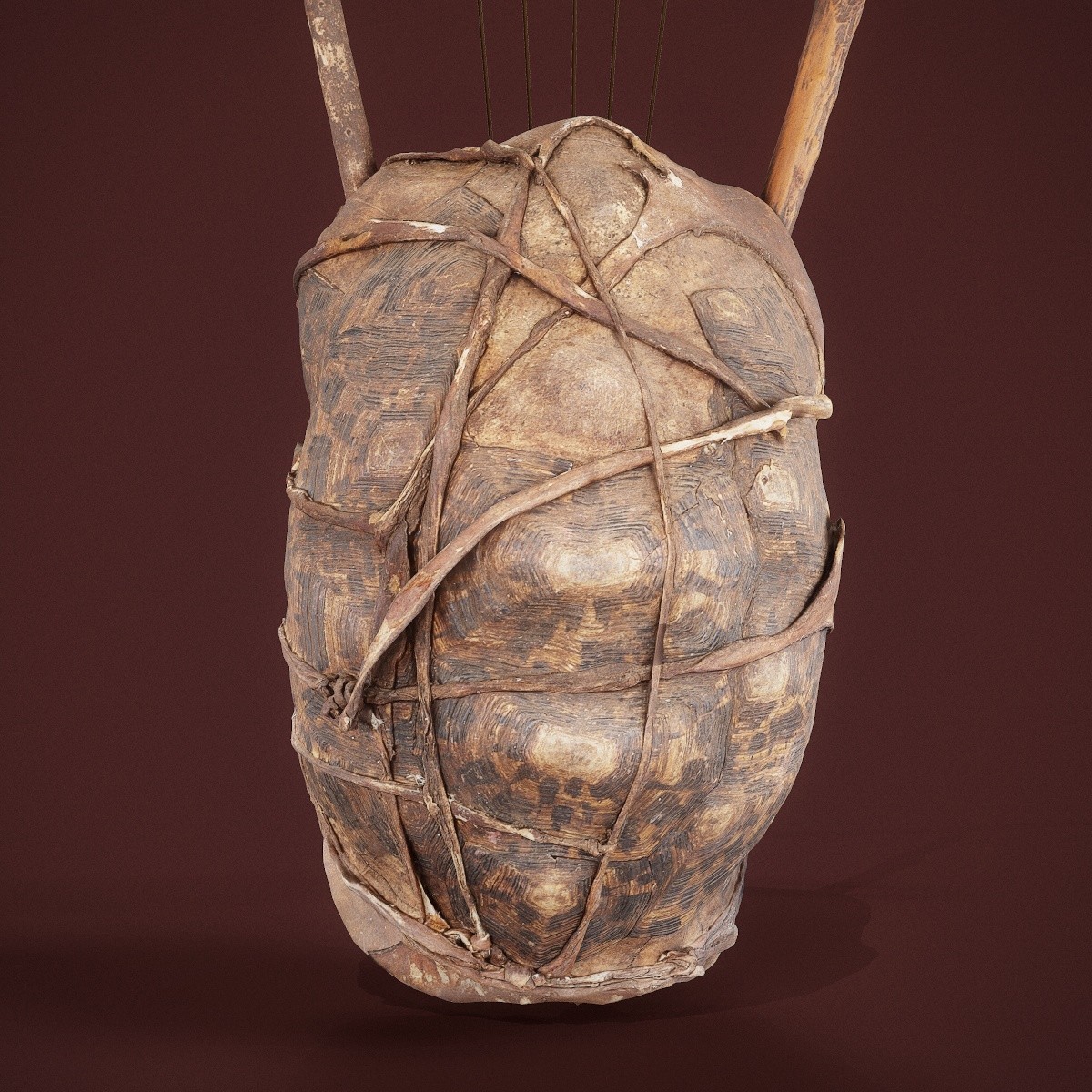 ArtStation - Turtle Guitar | Resources