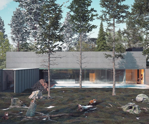 ArtStation - Mountain House vray | Resources