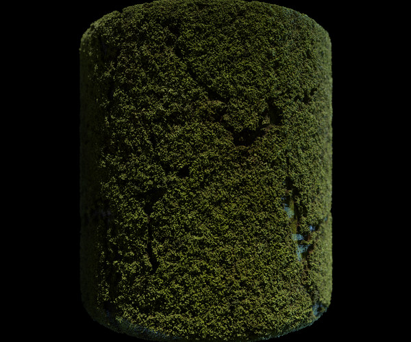 ArtStation - 162. Moss#03 | Game Assets