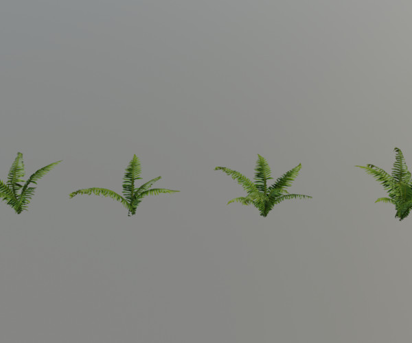 ArtStation - (Blender) The Fern Collection | Resources