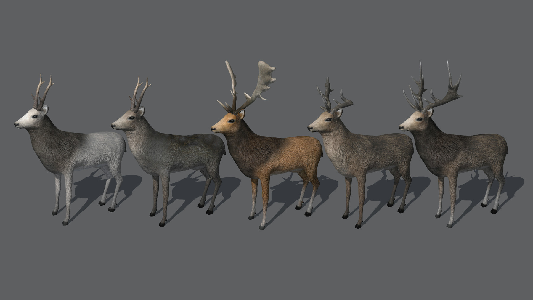 ArtStation - Deer Modular Pack | Resources