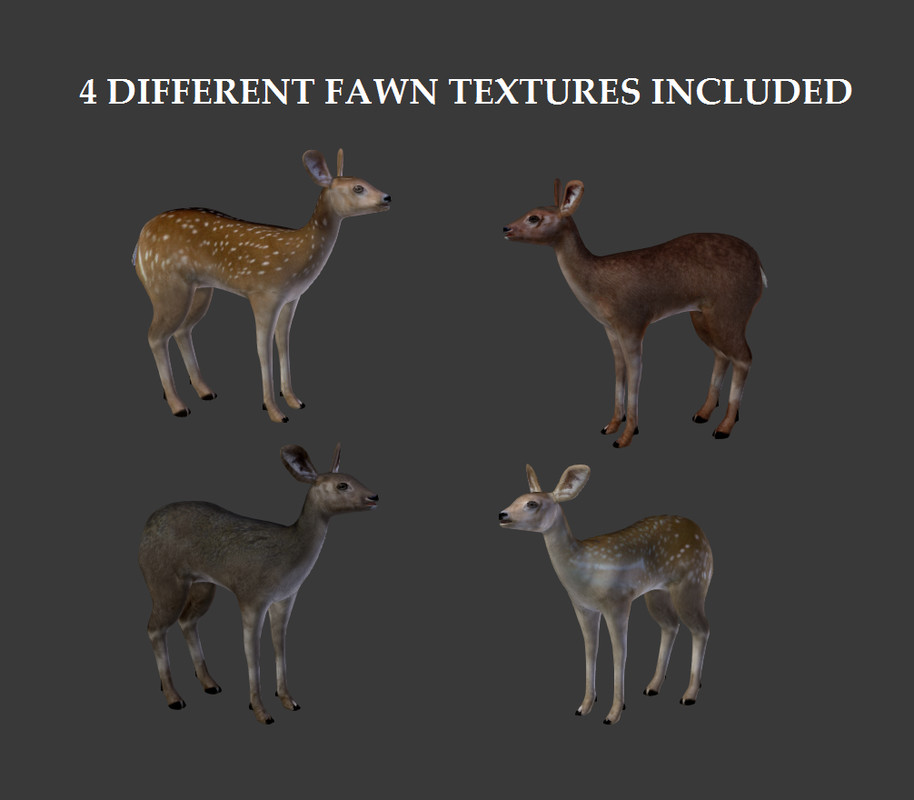 ArtStation - Deer Collection | Resources