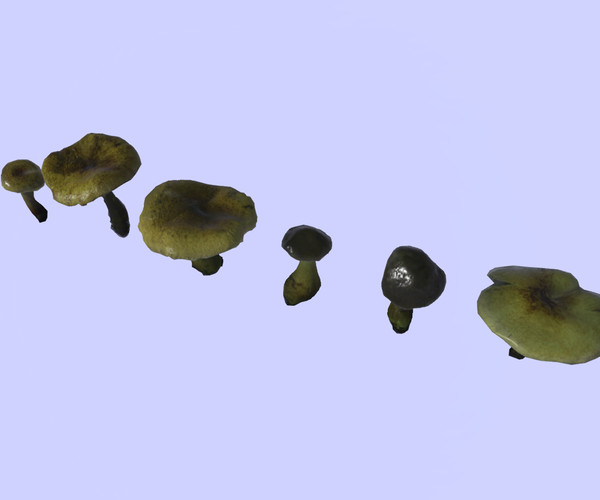ArtStation - Mushrooms pack 1 | Game Assets