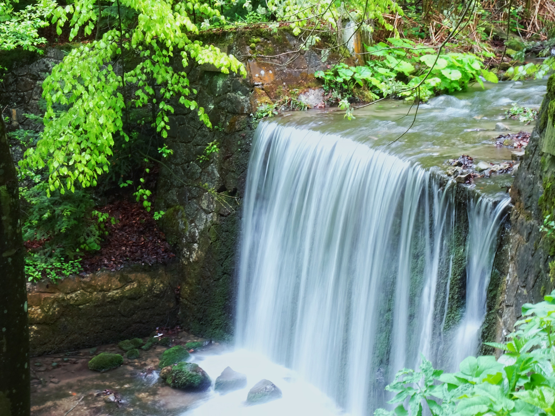 ArtStation - Nature Reference Pack | Resources