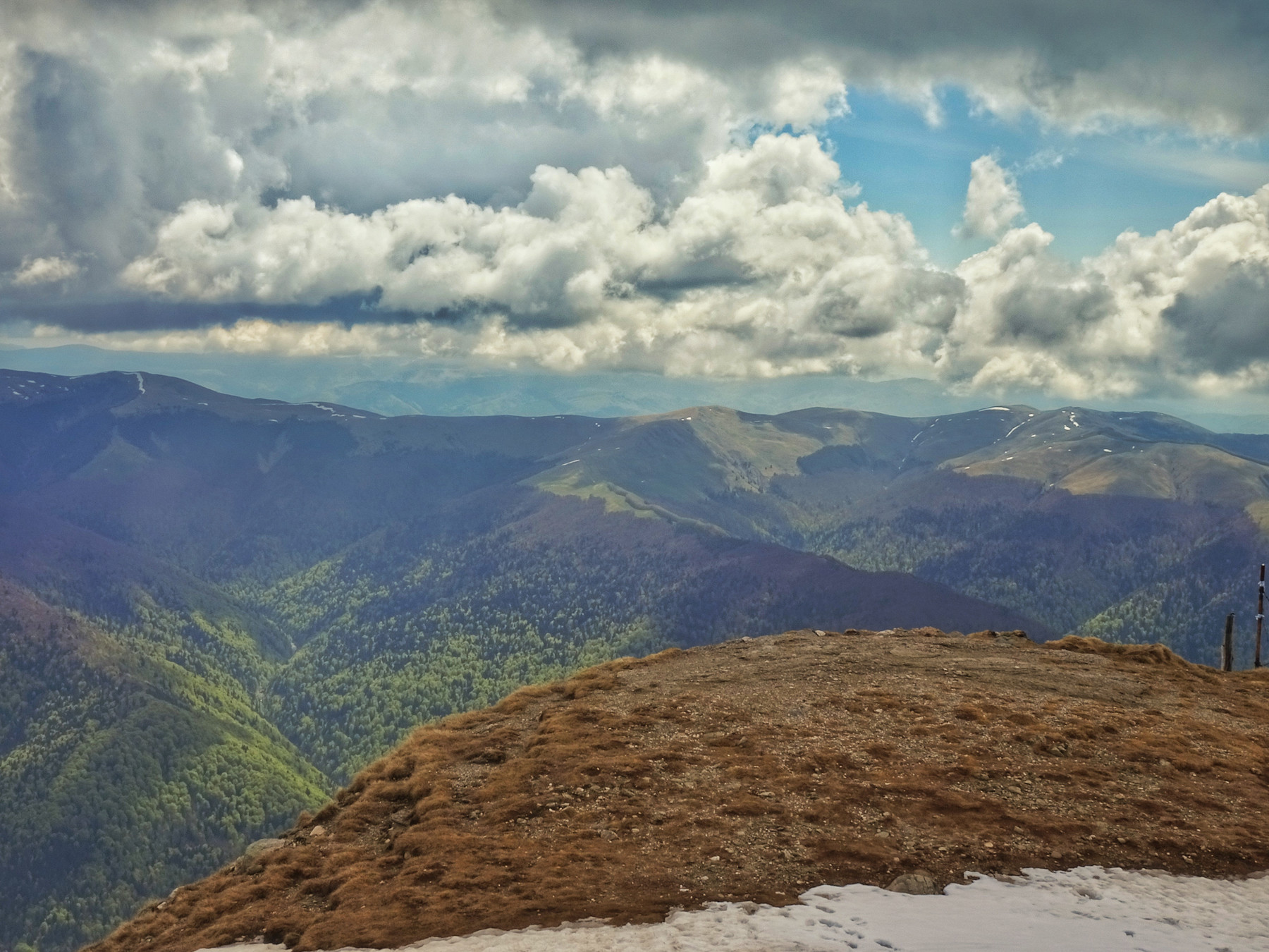 ArtStation - Nature Reference Pack | Resources