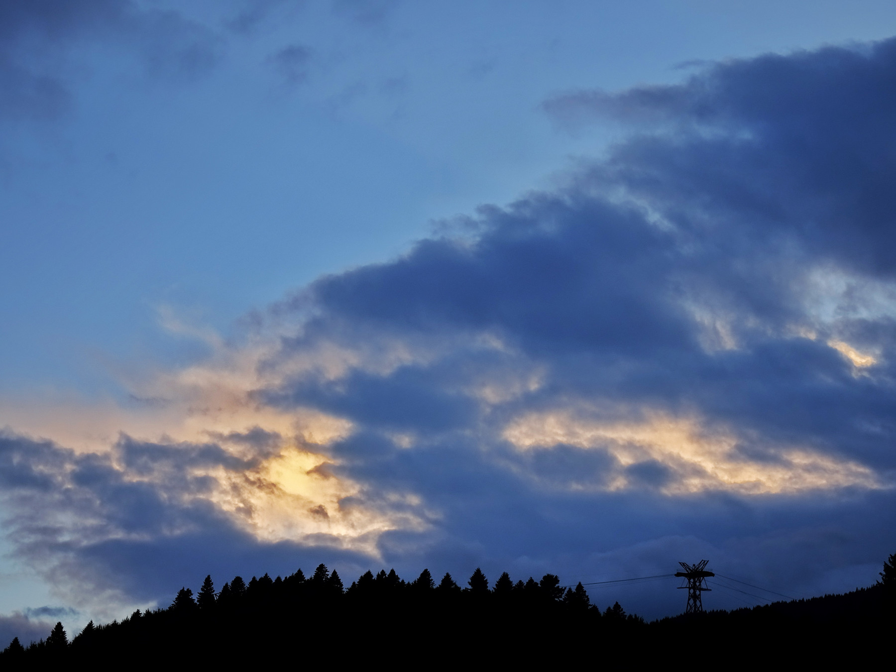 ArtStation - Nature Reference Pack | Resources