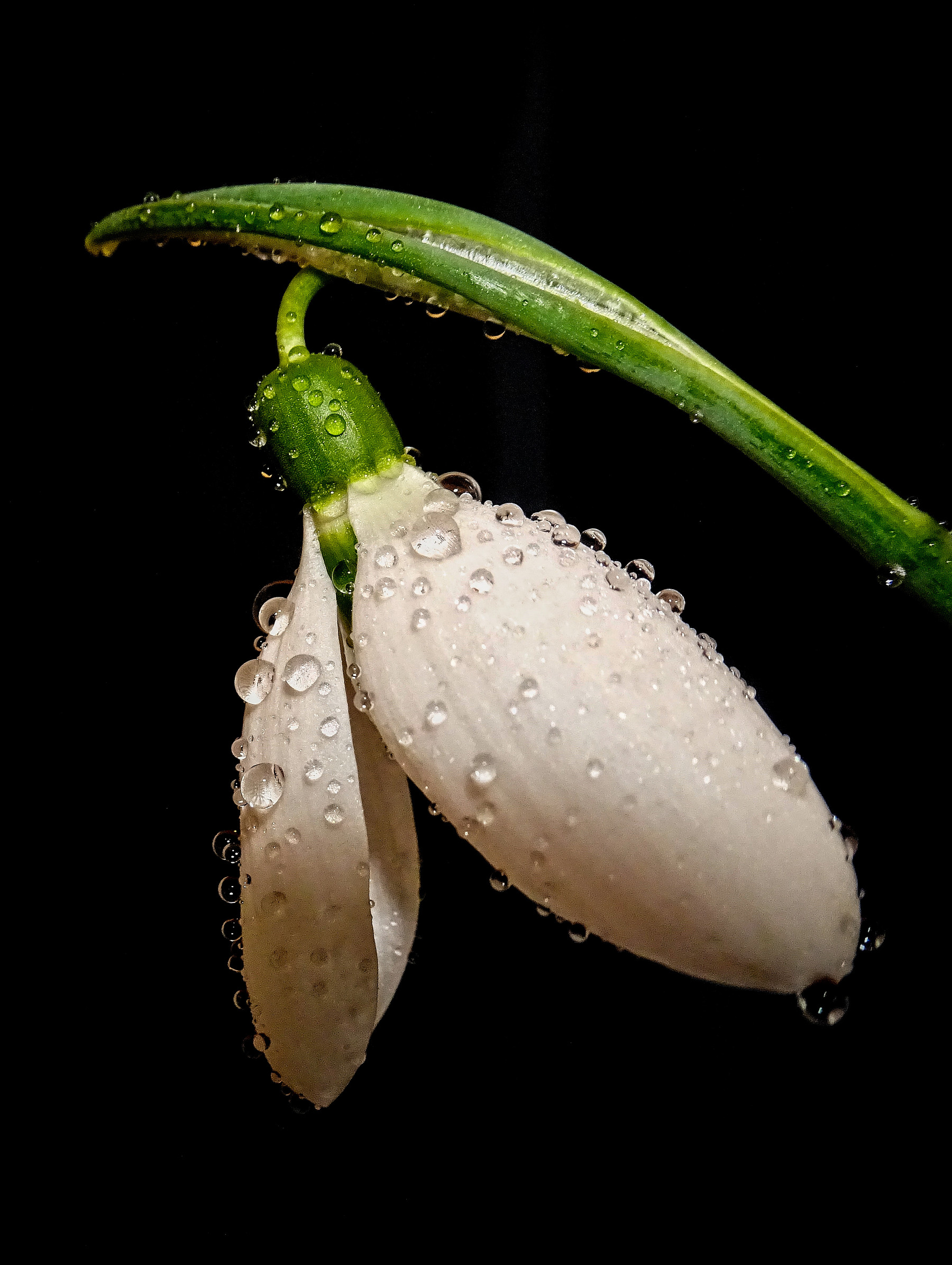 ArtStation - Nature Reference Pack | Resources