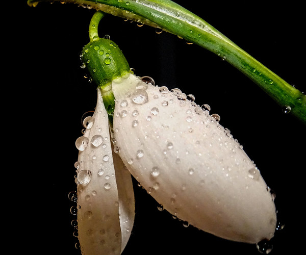 ArtStation - Nature Reference Pack | Resources