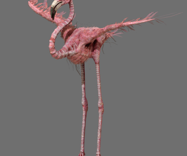 ArtStation - Flamingo Monster | Game Assets