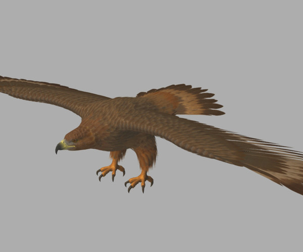 ArtStation - Eagle Rig | Resources