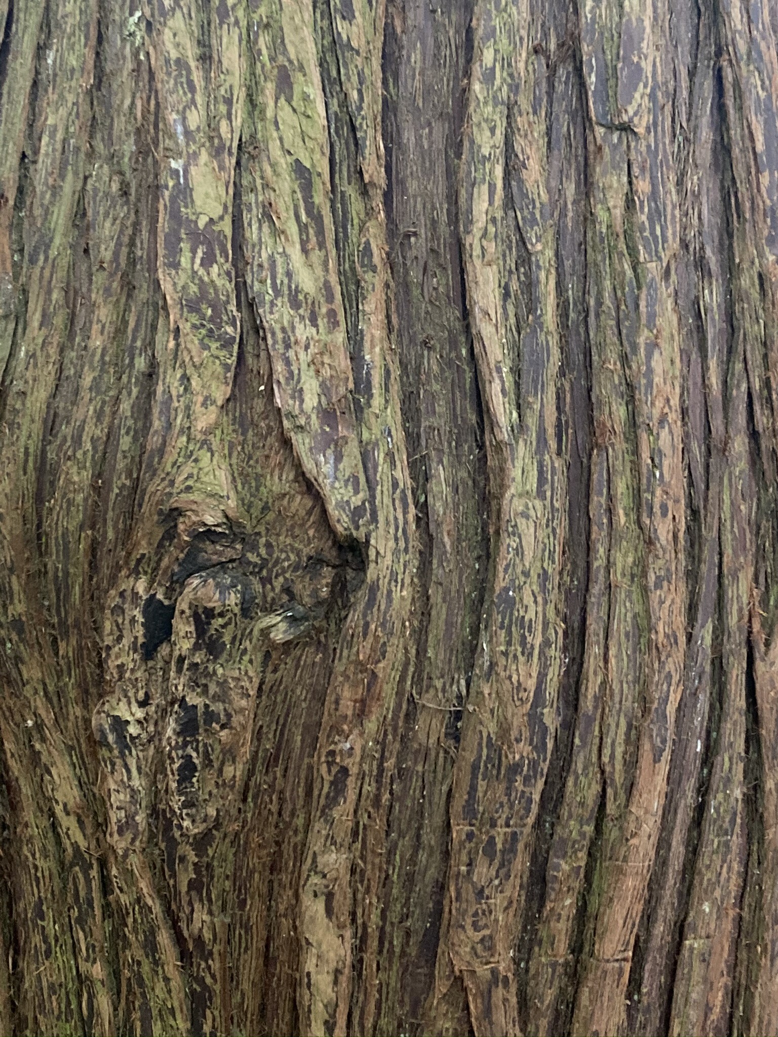 ArtStation - HD Ground Textures | Resources