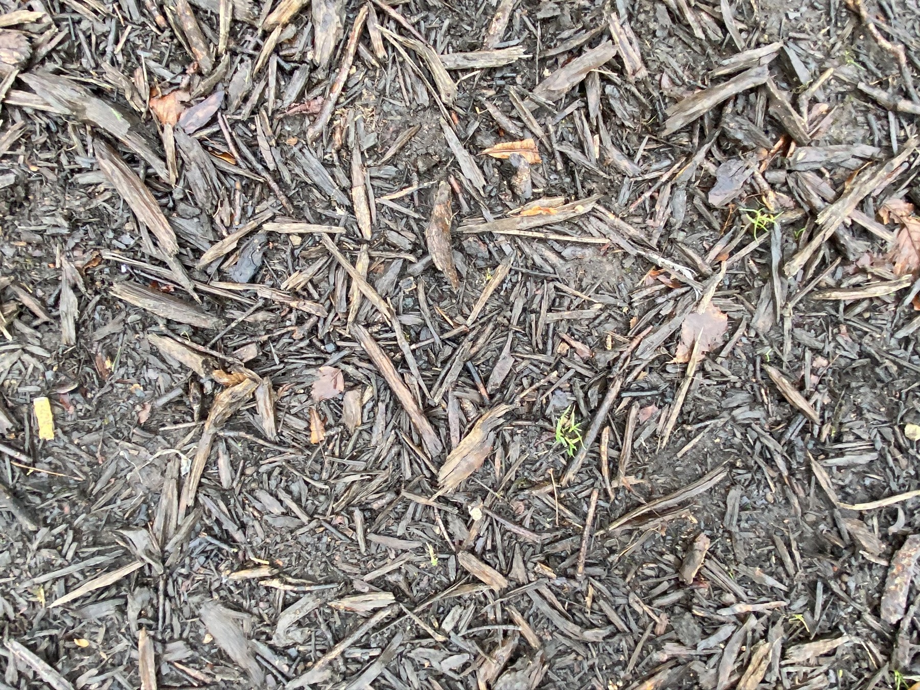 ArtStation - HD Ground Textures | Resources