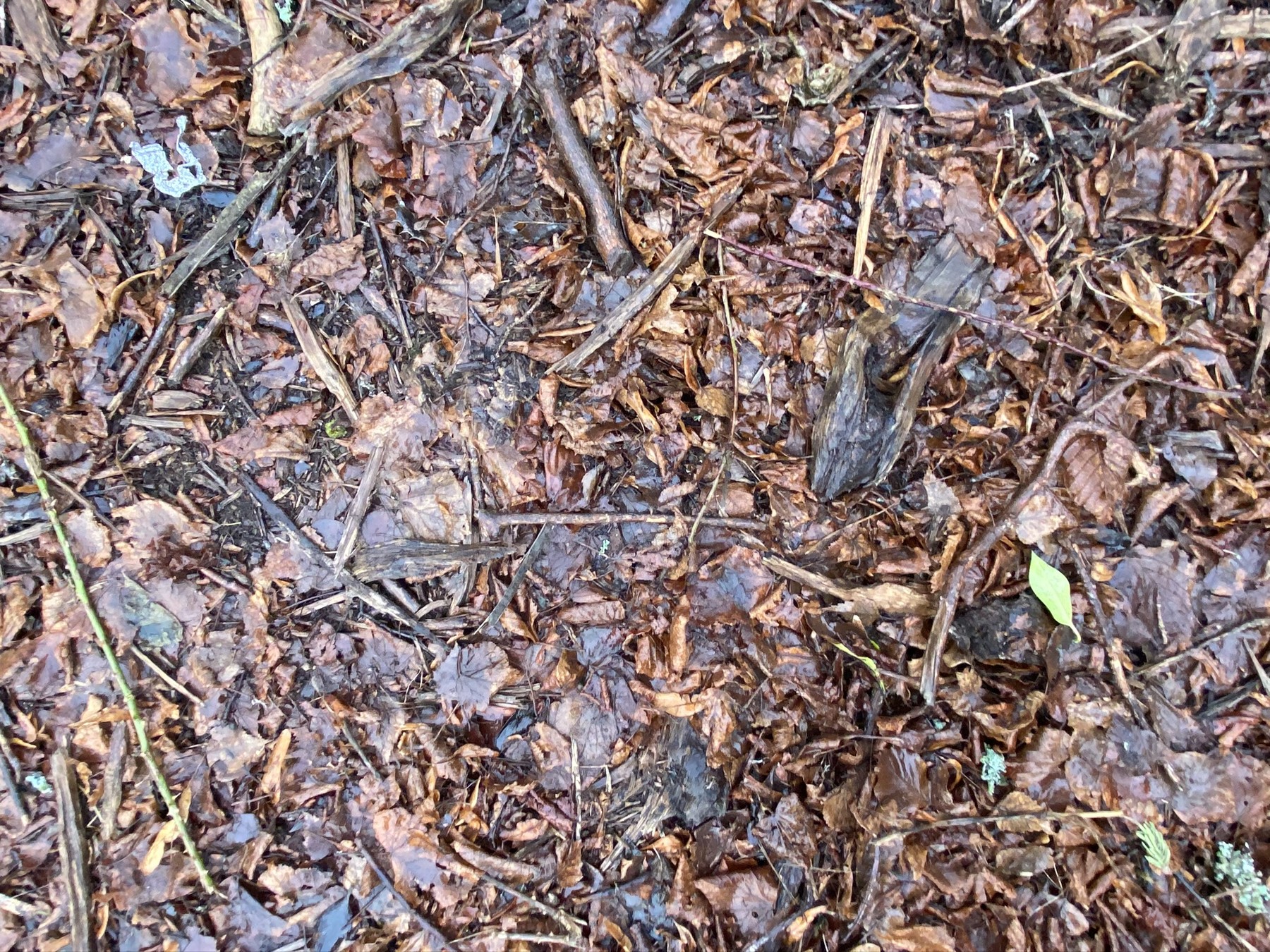 ArtStation - HD Ground Textures | Resources