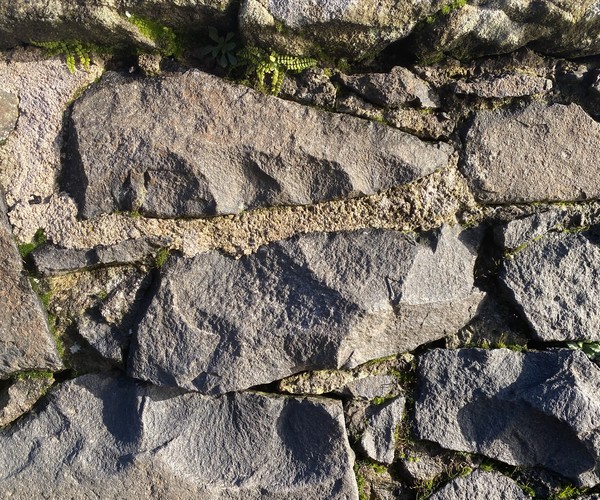 ArtStation - HD/HDR Ground Texture Pack 02 | Resources