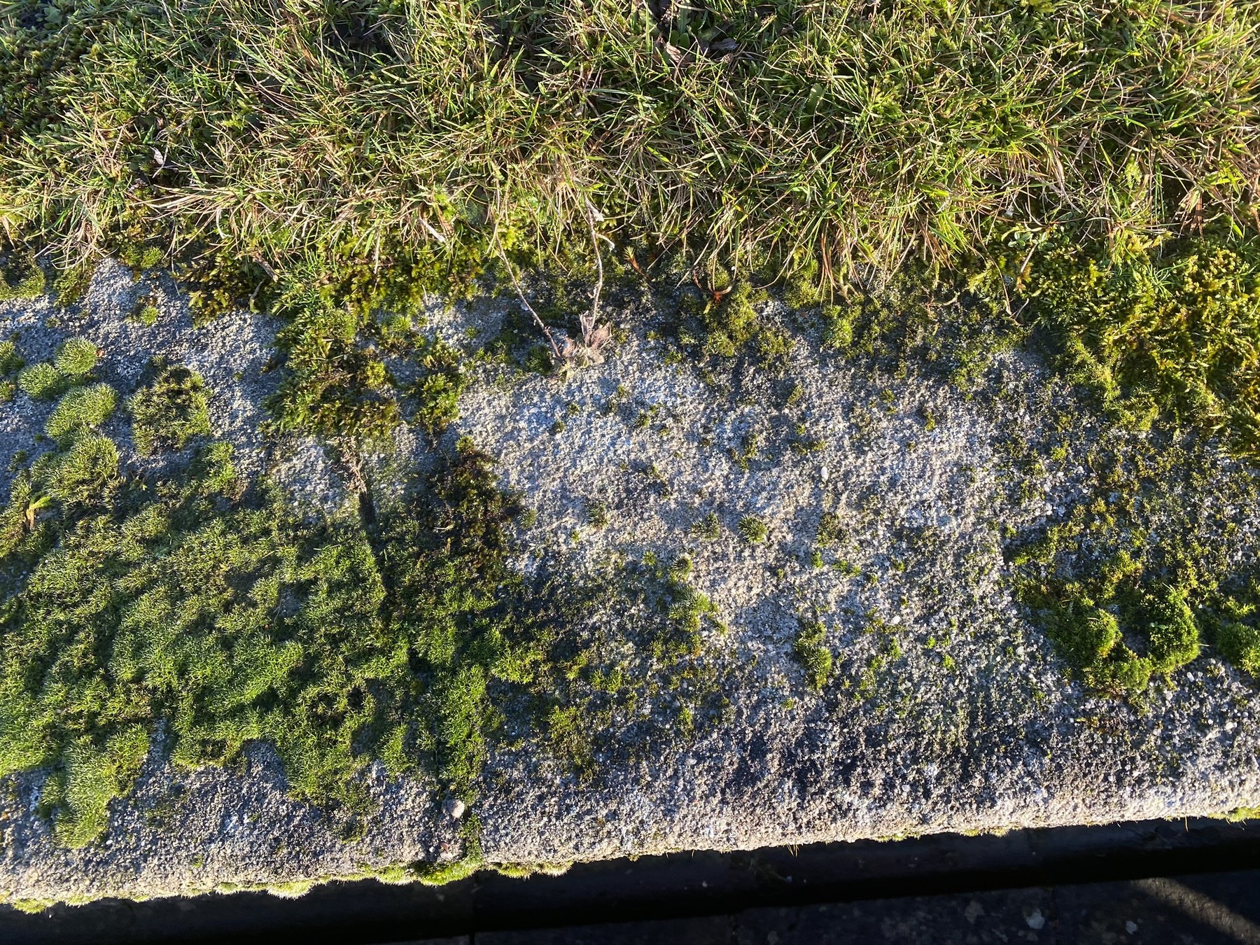 ArtStation - HD/HDR Ground Texture Pack 02 | Resources