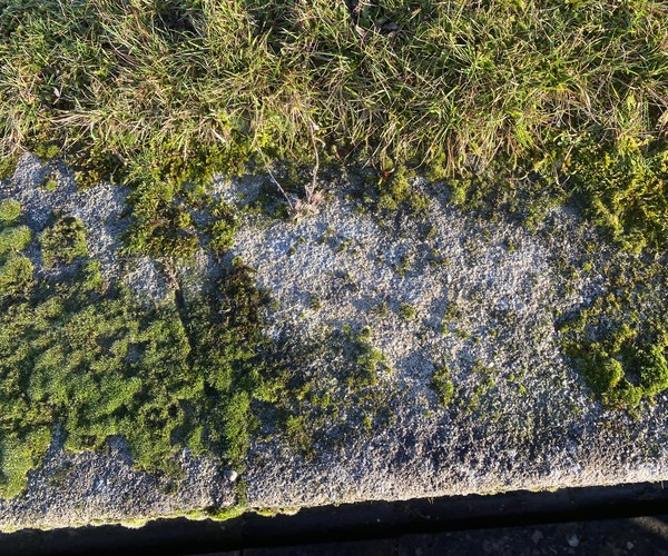 ArtStation - HD/HDR Ground Texture Pack 02 | Resources