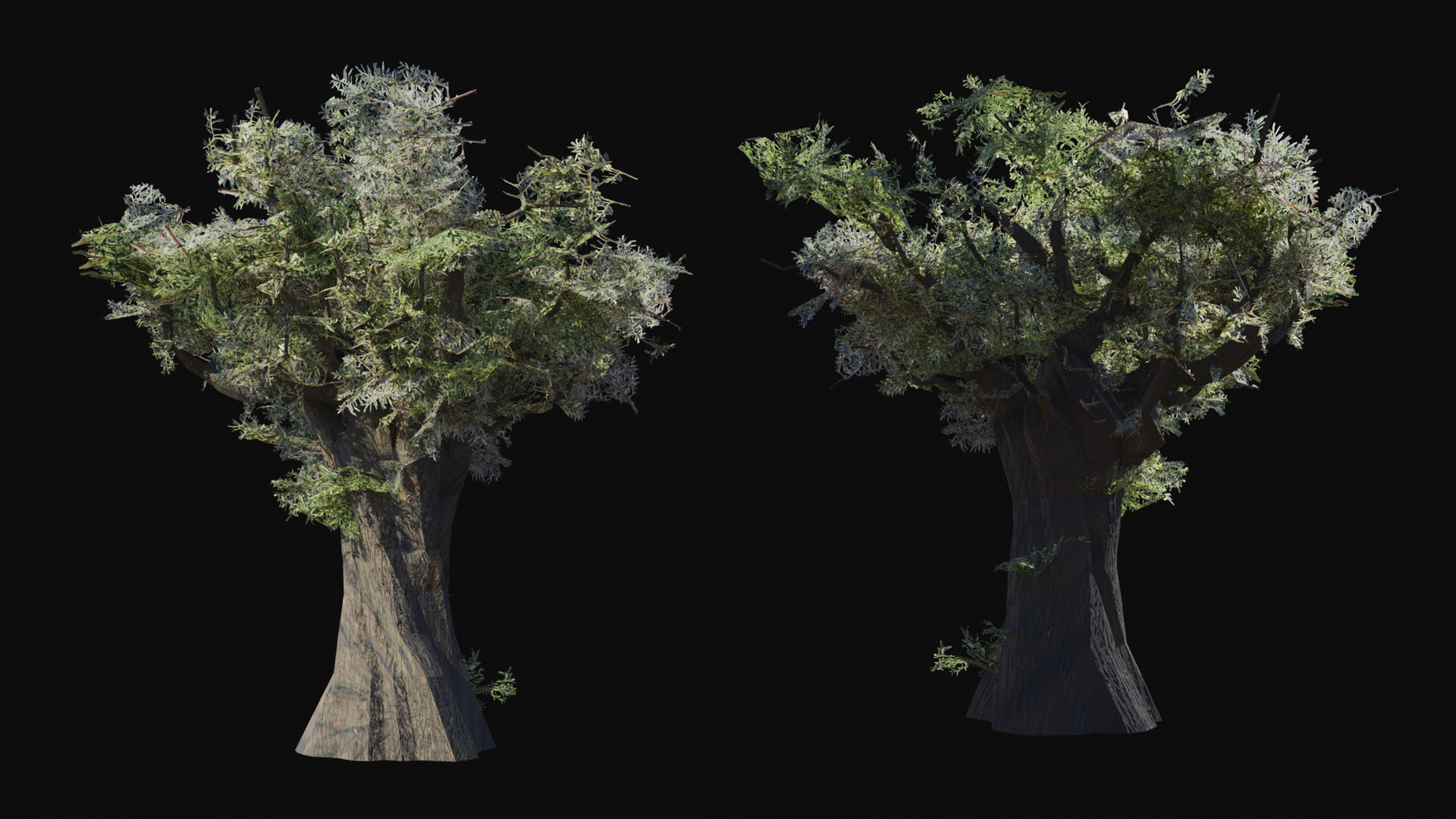 ArtStation - Olive Tree | Resources
