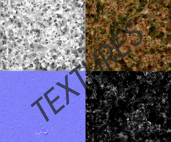 ArtStation - Marijuana Bud - Photoscanned PBR | Resources