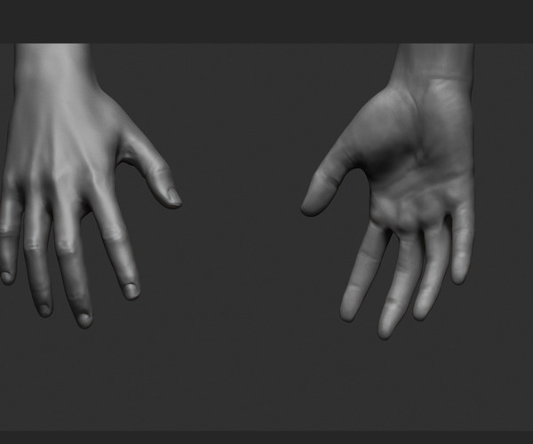 ArtStation - Realistic Hands Pack | Resources