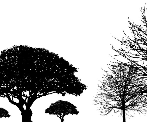 ArtStation - 30x High Quality Trees Photoshop custom shapes | Artworks
