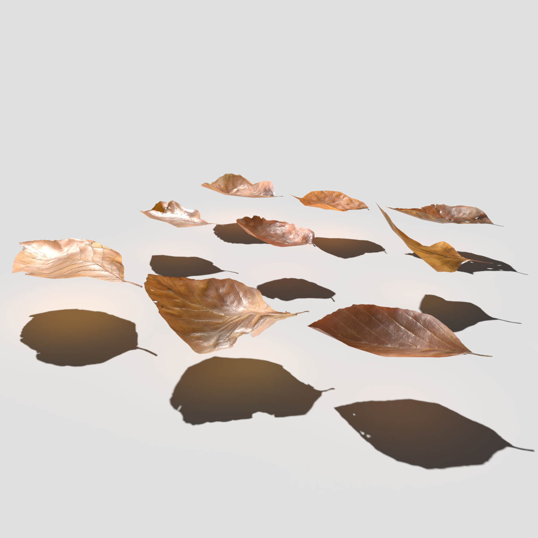 ArtStation - Dry Beech Leaves Pack | Resources